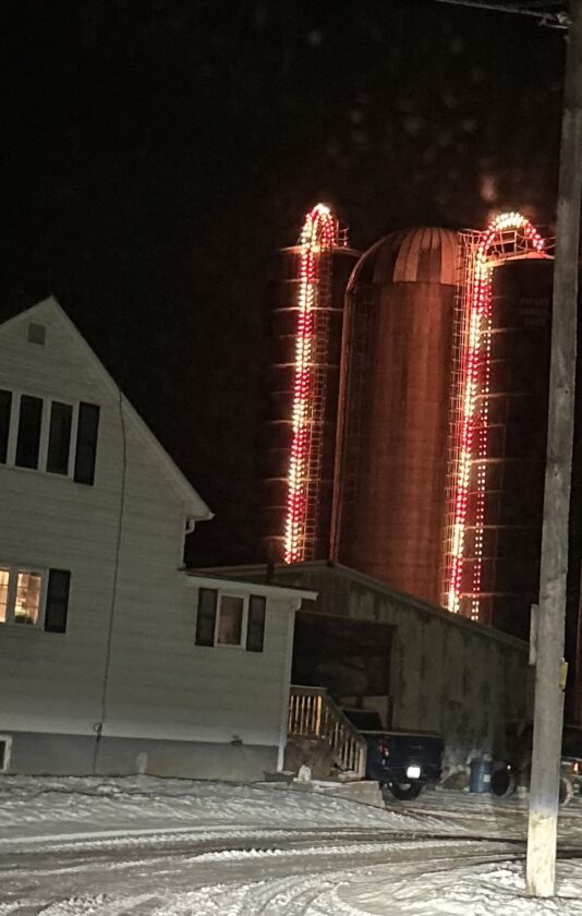 A Christmas Tradition | News, Sports, Jobs - Daily Press